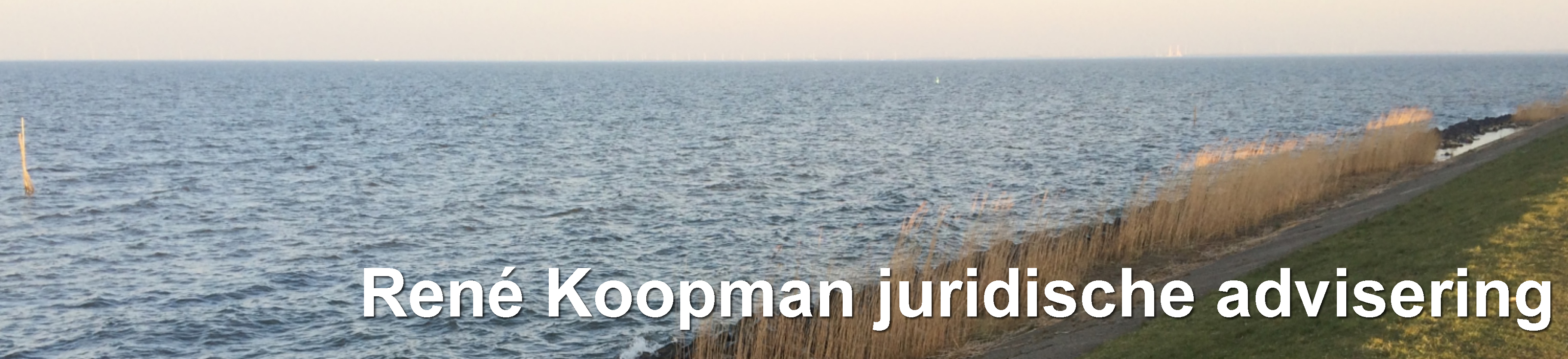 Interim Rene Koopman juridisch advies